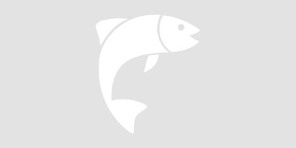 Fishing Planet Collective