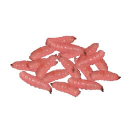 Fishing Planet Collective