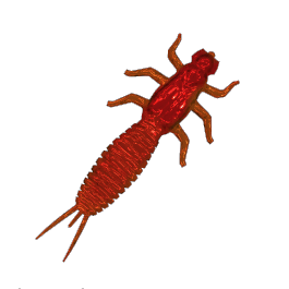 Fishing Planet Collective