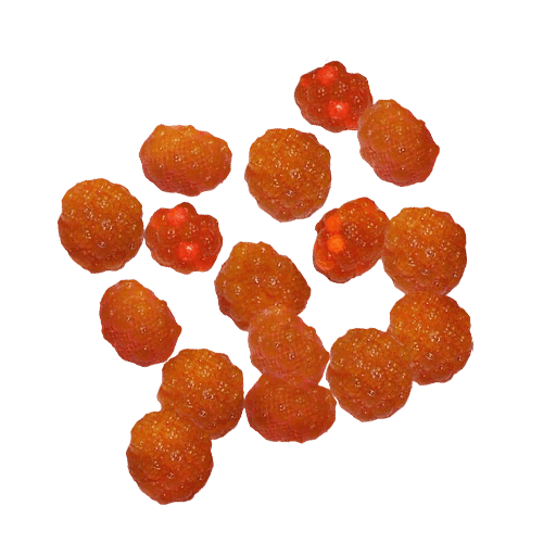 Fishing Planet Collective