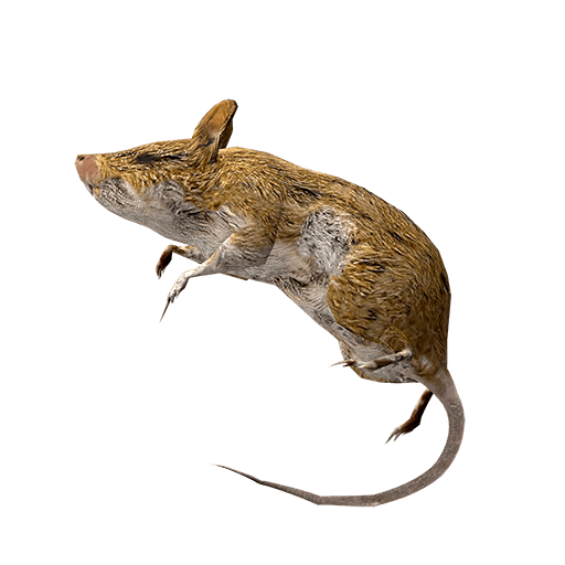 Fishing Planet Collective