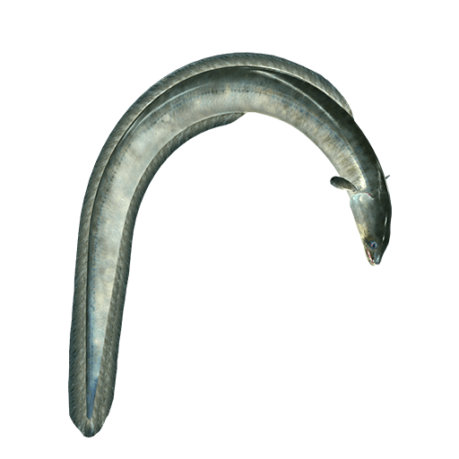 Fishing Planet Collective