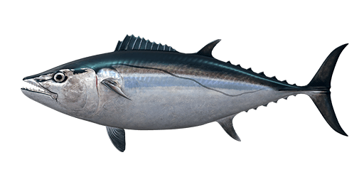 Fishing Planet Collective