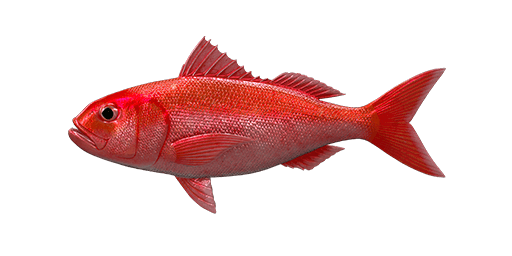 Fishing Planet Collective