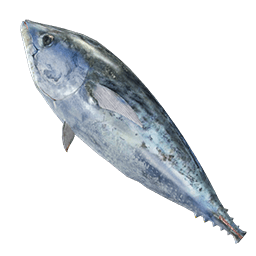 Fishing Planet Collective