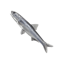 Fishing Planet Collective