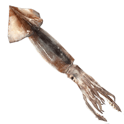 Fishing Planet Collective