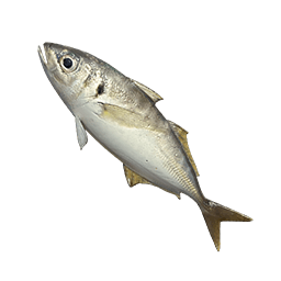 Fishing Planet Collective