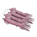 Fishing Planet Collective