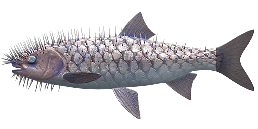 Fishing Planet Collective