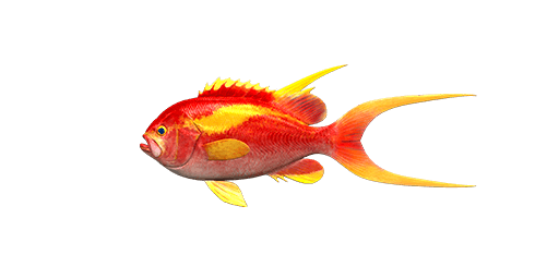 Fishing Planet Collective