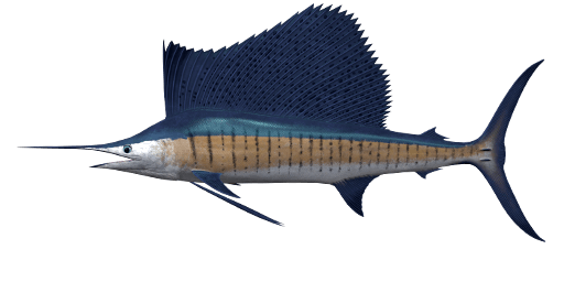 Fishing Planet Collective