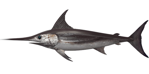 Fishing Planet Collective