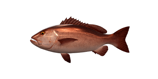 Fishing Planet Collective